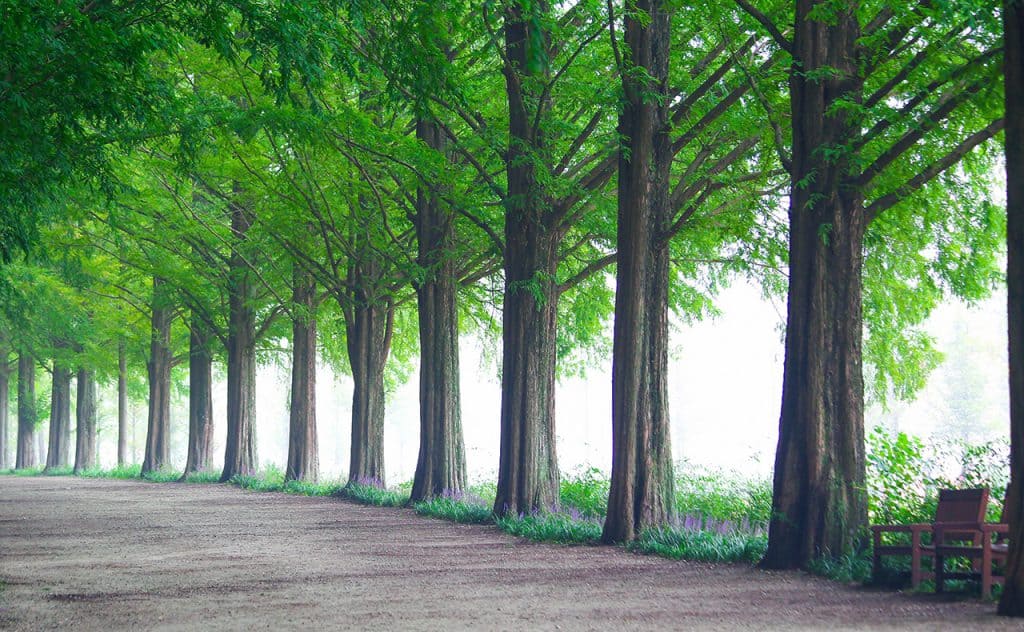 Azië voor ontdekkingsreizigers