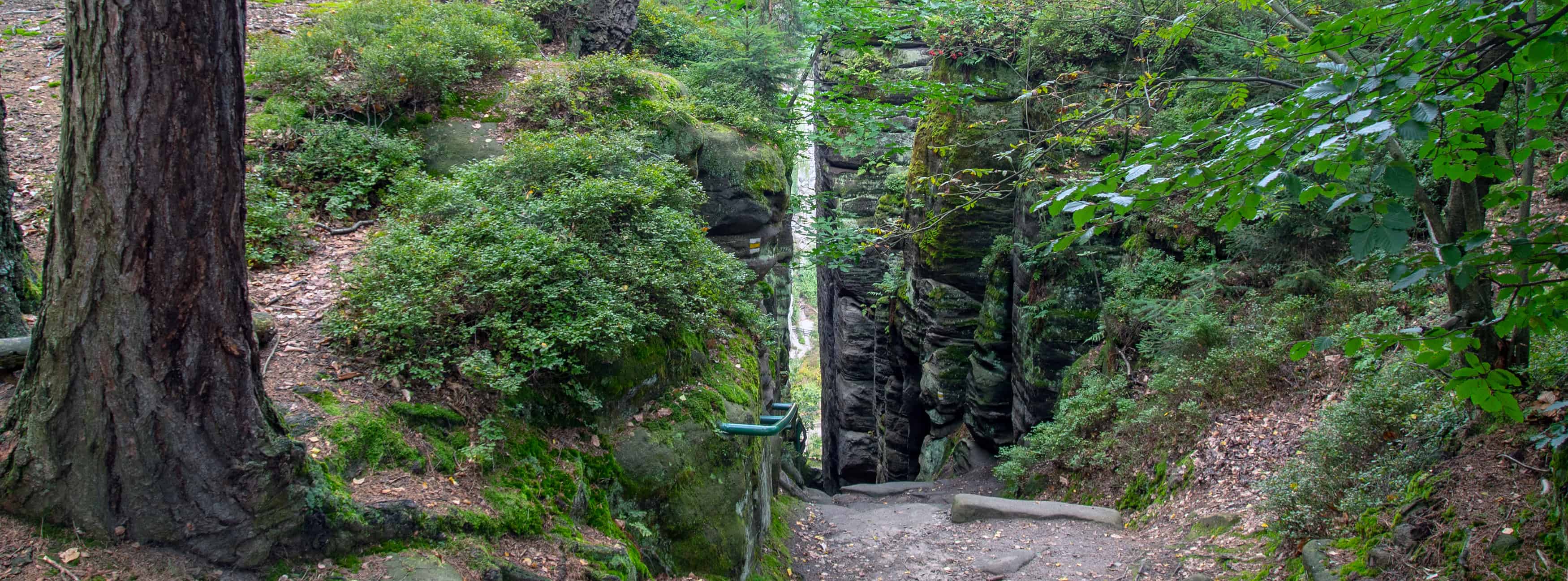Het prachtige natuurgebied Cesky Raj - Reisvormen