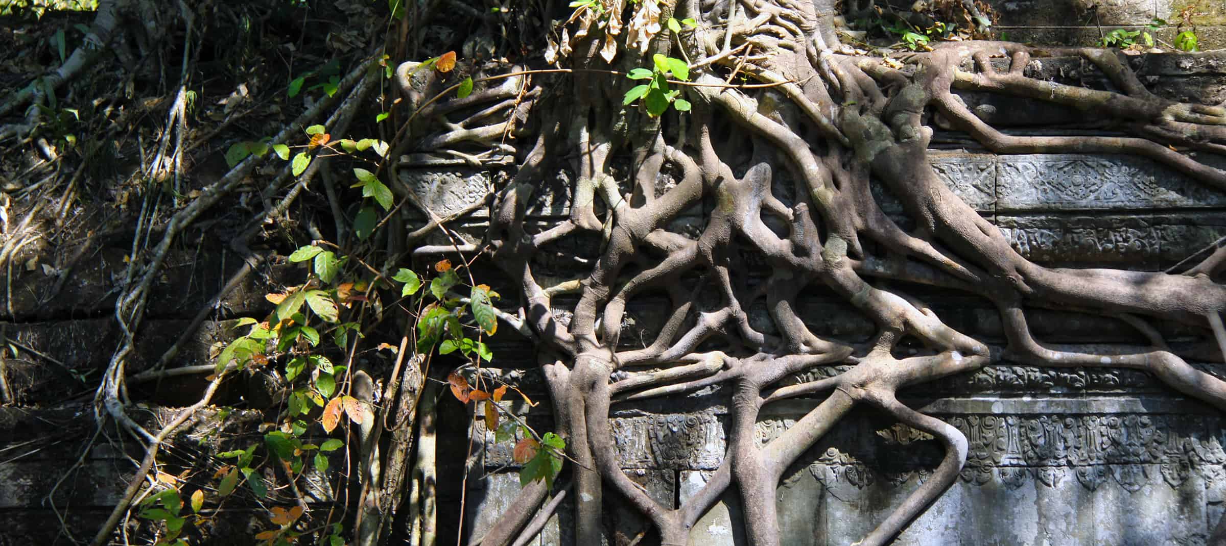 Beng Melea - Reisvormen