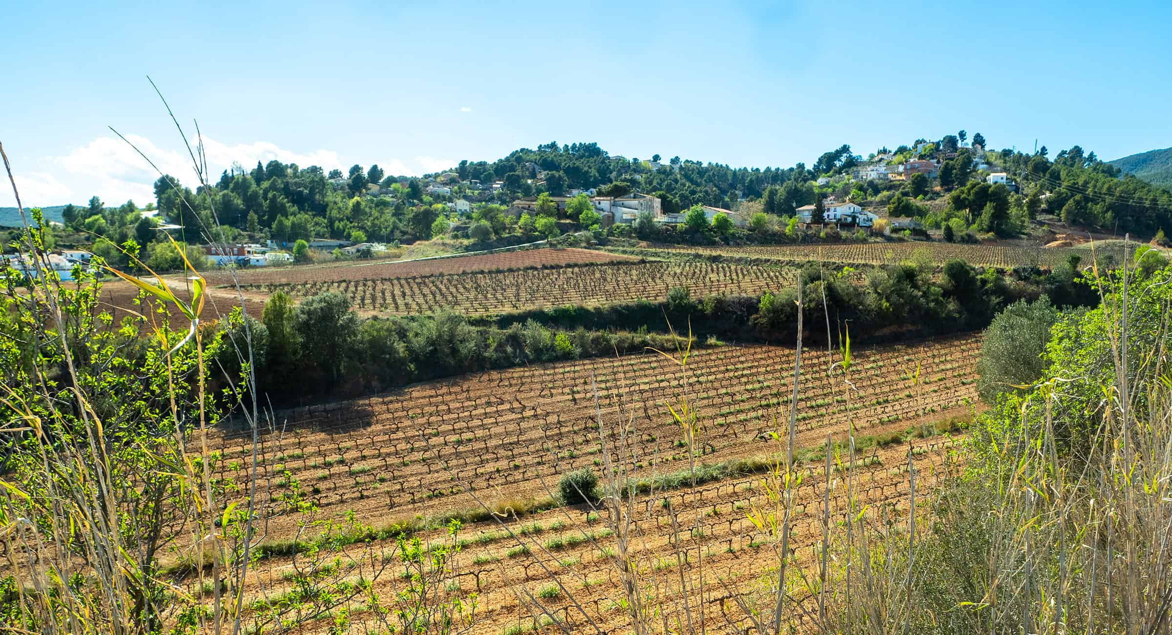 Lekker genieten in een Catalaanse Finca - Reisvormen
